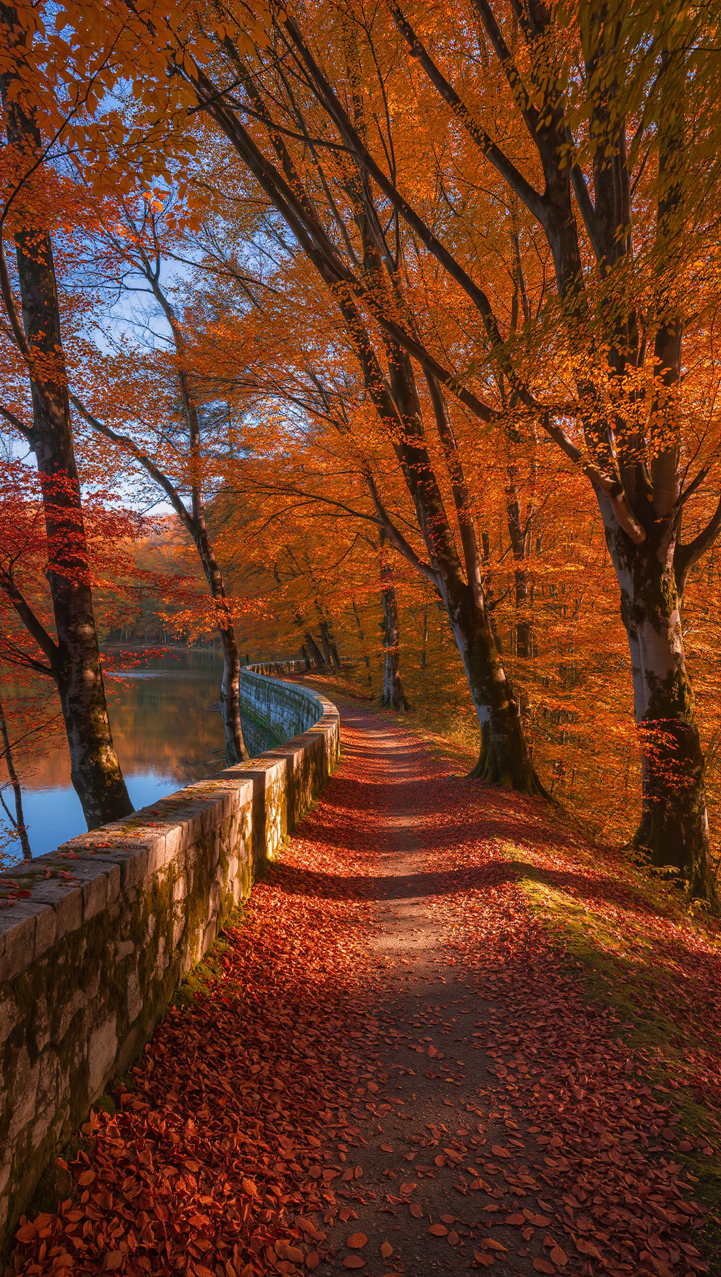 Kling AI: Next-Gen AI Video & AI Image Generator